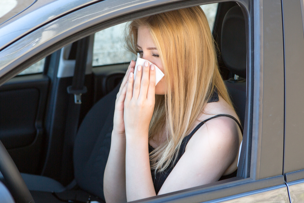 Rijden met hooikoorts? Zo voorkom je (zo veel mogelijk) niezen en ...